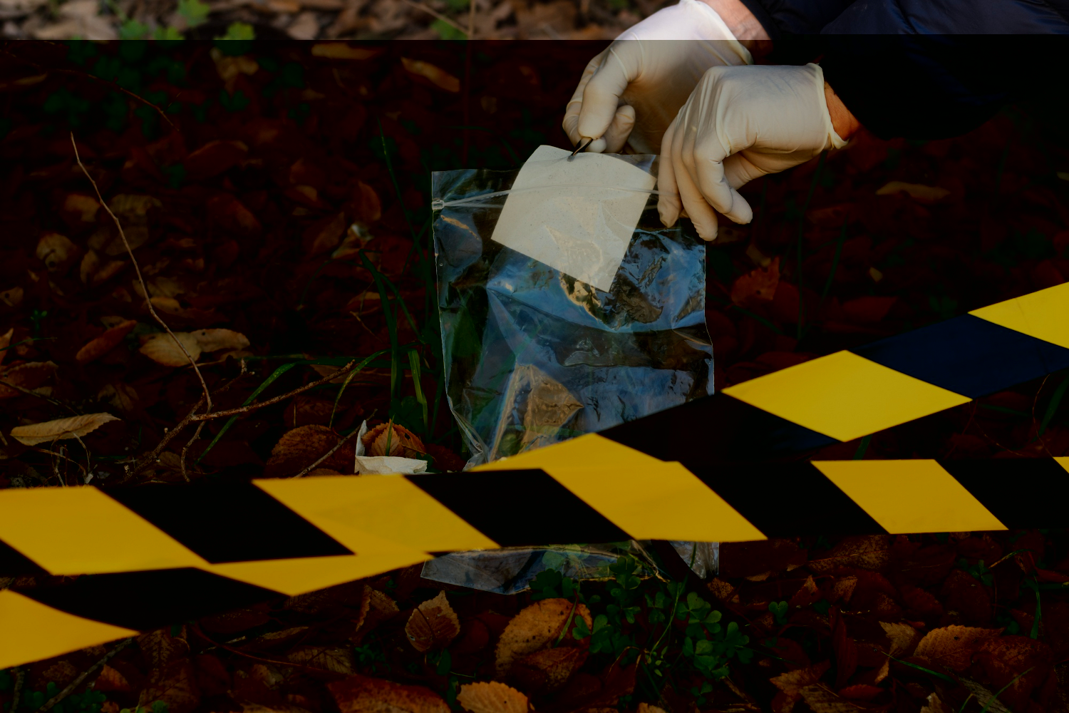 Qual faculdade fazer para ser um perito criminal?